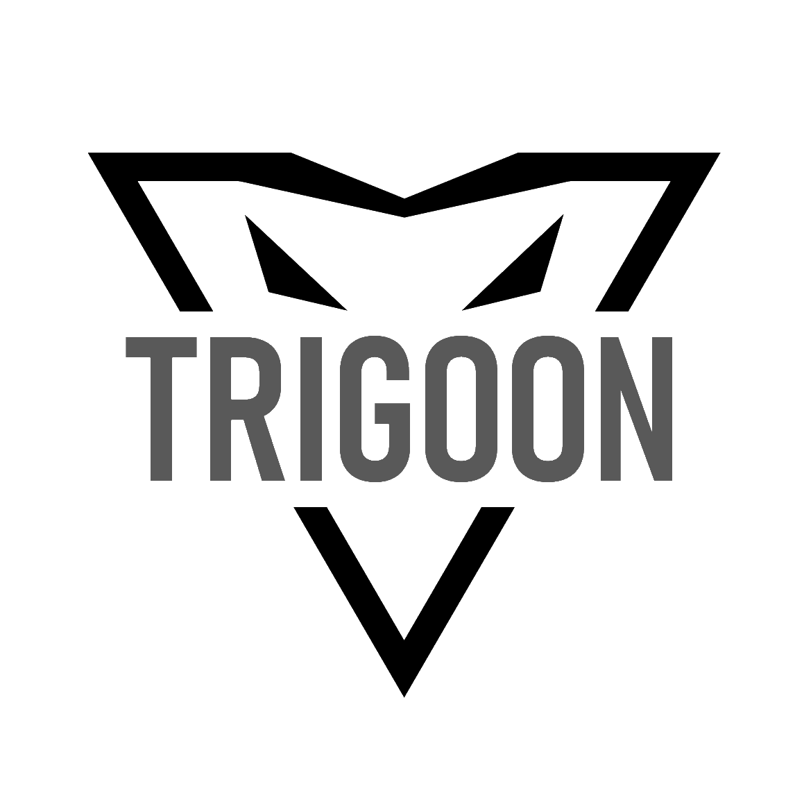 cropped-Trigoon-Logo-GS – Trigoon Dynamics